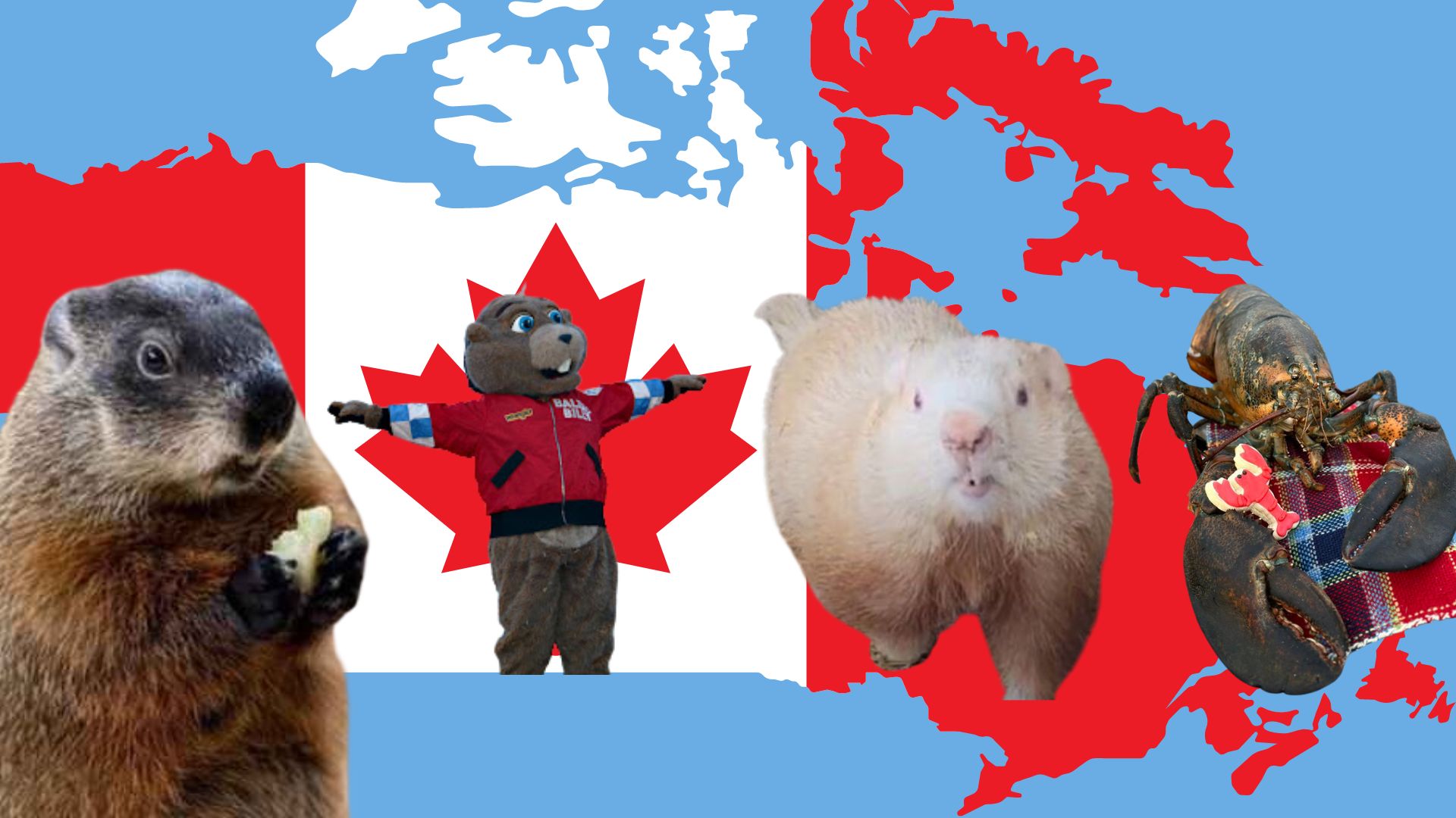 Groundhog Day Results: See them here - The Weather Network