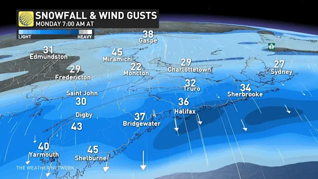 Major delays, cancellations likely as heavy snow hits East Coast - The ...