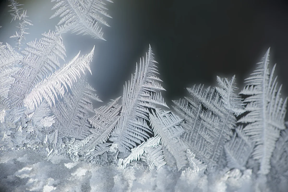 High Level's weather forecast for November 11: Cloudy with sunny breaks ...