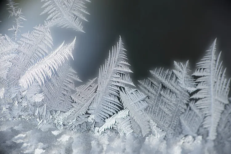 Tomorrow's Weather Winnipeg (Dec 17): Snowfall & Windy Chill Ahead ...