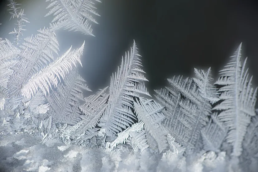 Tomorrow's Weather Calgary: Snowy Morning, Clear Evening Chill - The ...