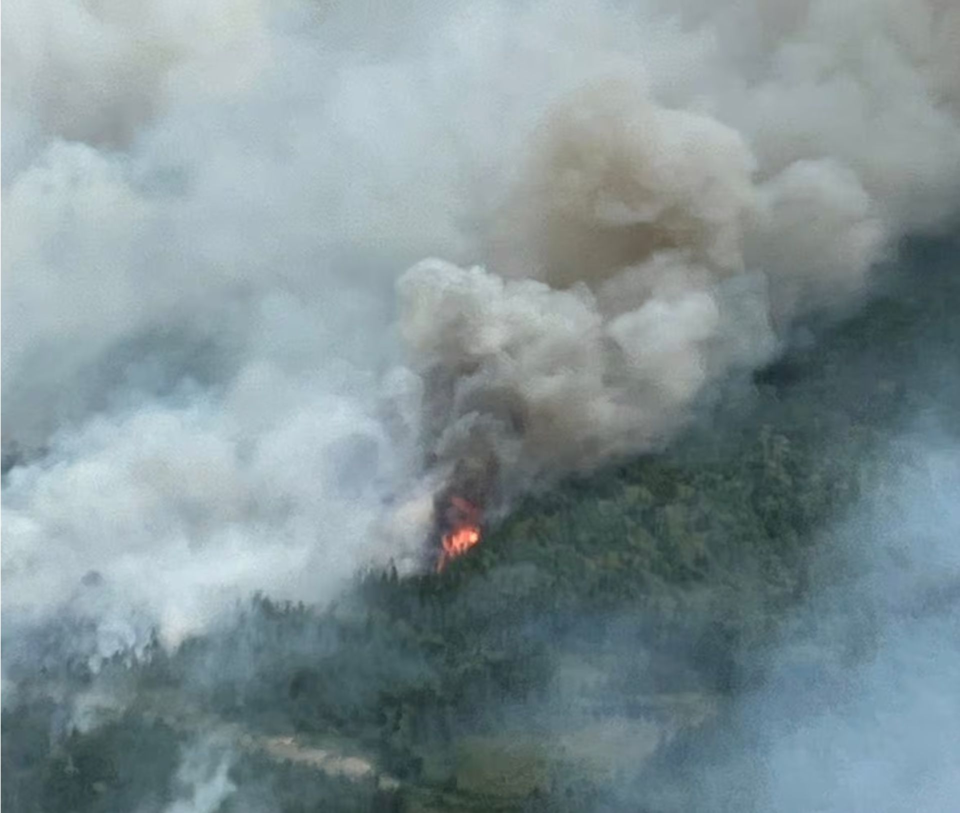 Wet weather expected to help fight Badger wildfire, says N.L. fire ...