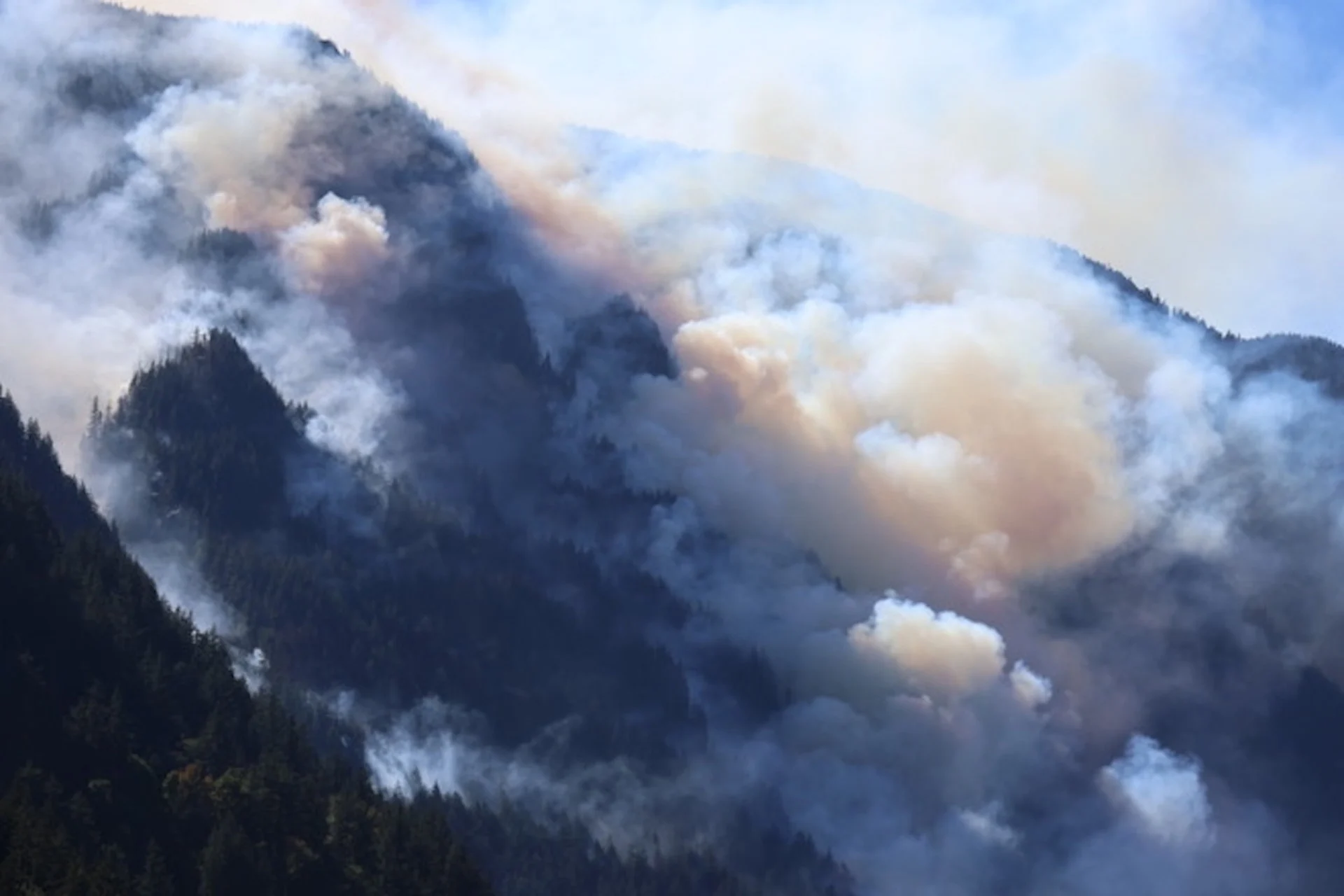 Top five ways human-caused wildfires start - The Weather Network