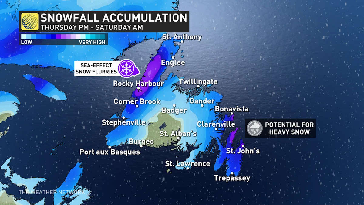 Parts of Newfoundland face their biggest snowfall of the winter so far - The Weather Network
