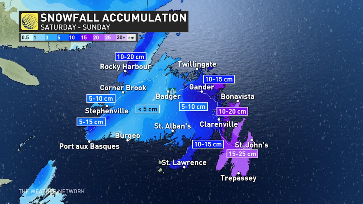 Whiteouts expected as heavy weekend snow aims for Newfoundland - The ...