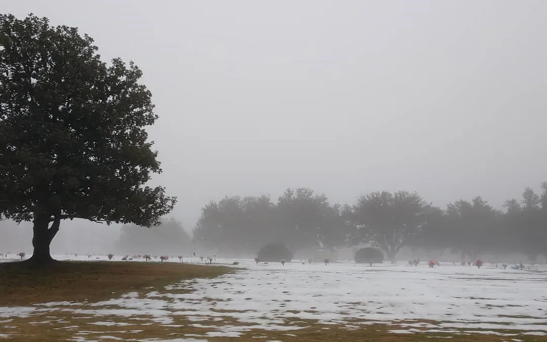It’s not your imagination—here’s why fall is the foggiest season - The ...