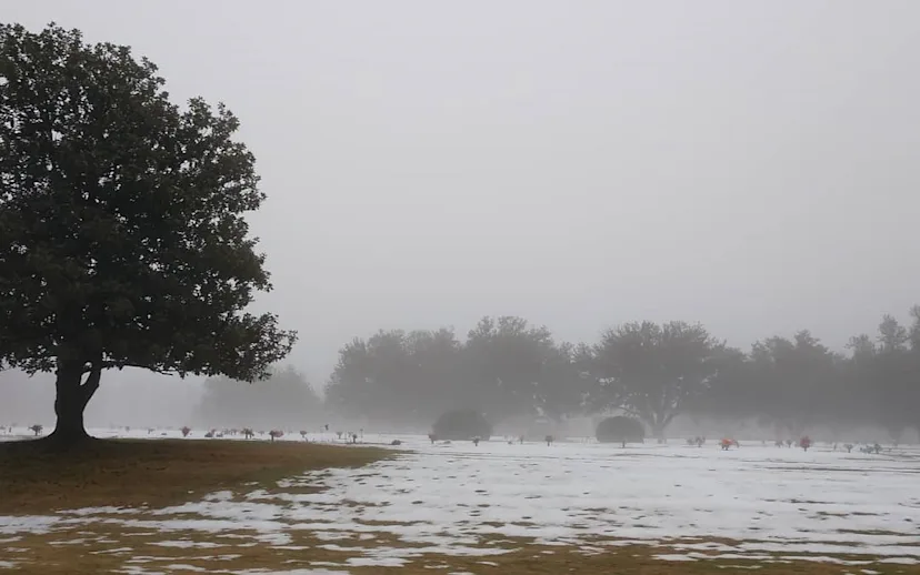 It’s not your imagination—here’s why fall is the foggiest season - The ...