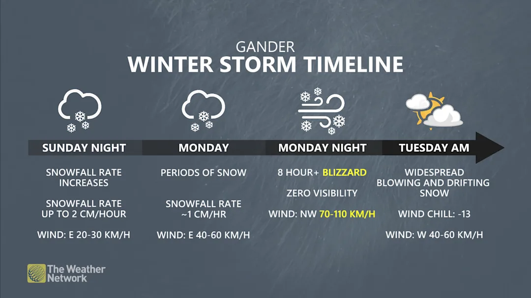 Blizzard conditions likely with up to 40 cm of snow expected - The ...