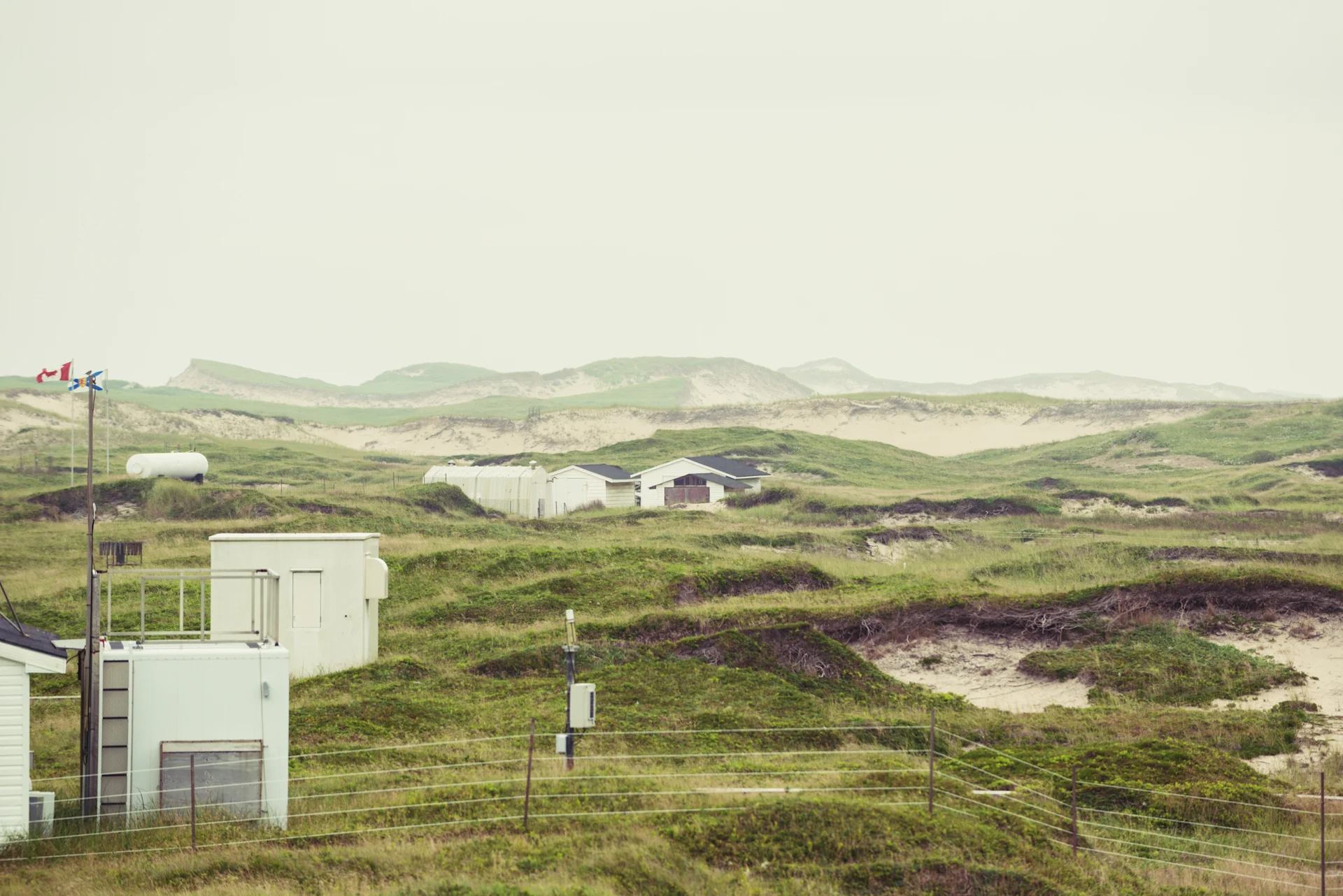 Sea level rise threatening Sable Island’s wild horses and unique ...