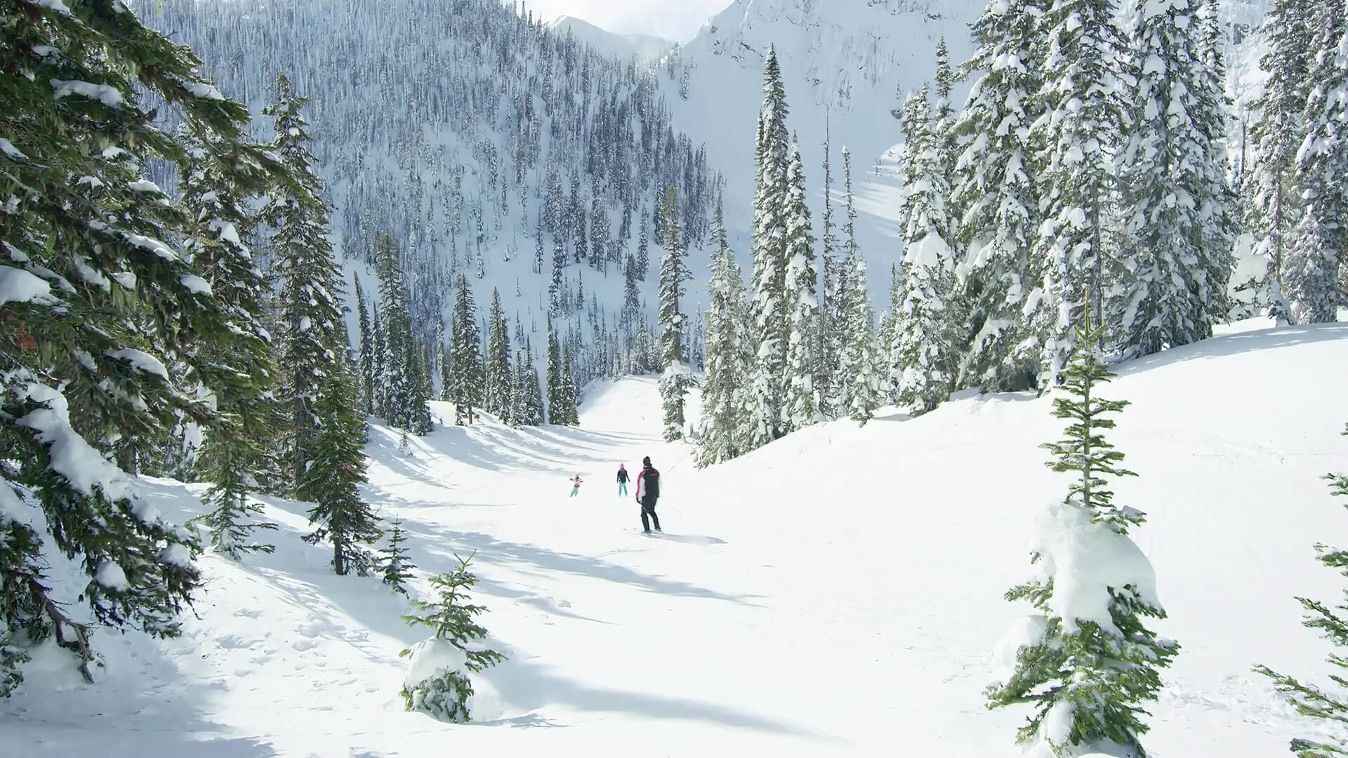 Will B.C.’s famed ‘Powder Highway’ survive in a warming world? - The ...