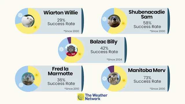 2025 Groundhog Day results: See them here! - The Weather Network