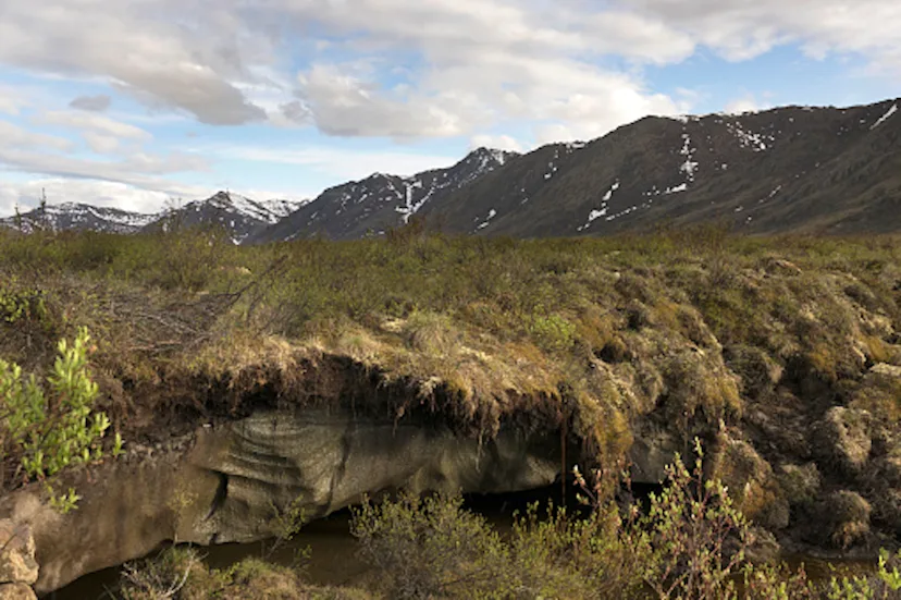 This northern Yukon island shows how thawing permafrost is transforming ...