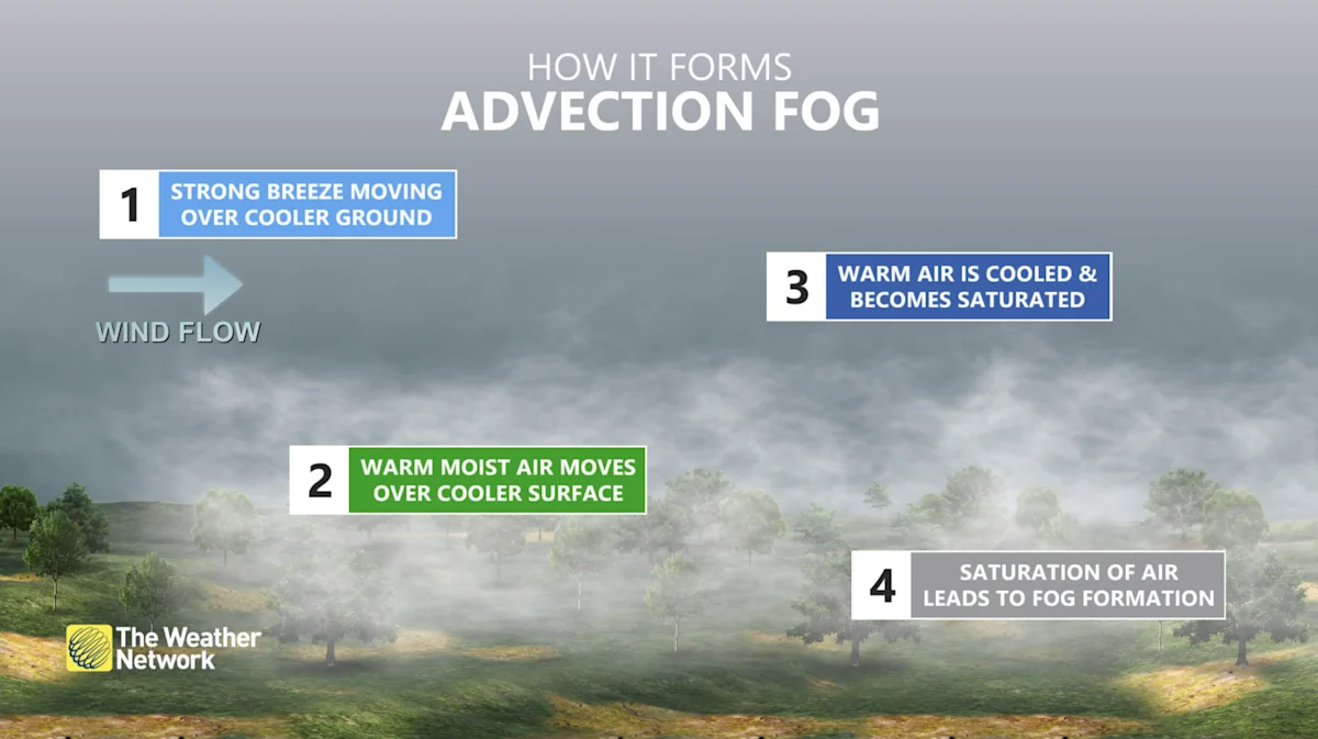 Follow these tips for staying safe while driving in thick fog - The ...
