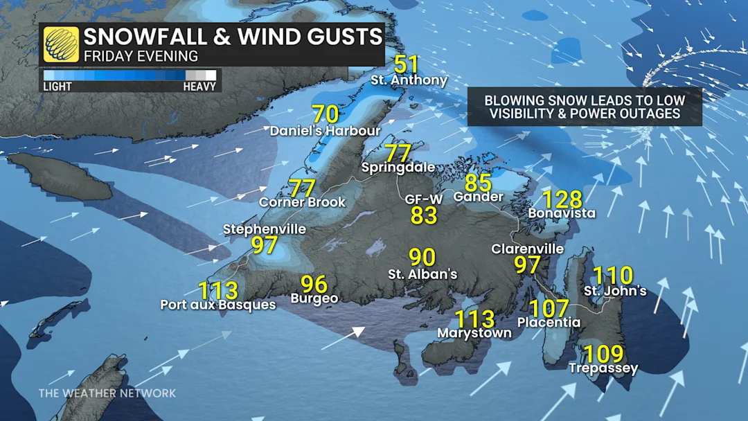 100+ km/h winds prompt warnings over Newfoundland - The Weather Network