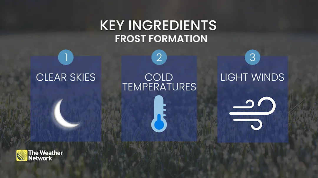 Understanding Canada's 'frost zones,' and when that first frost may hit ...
