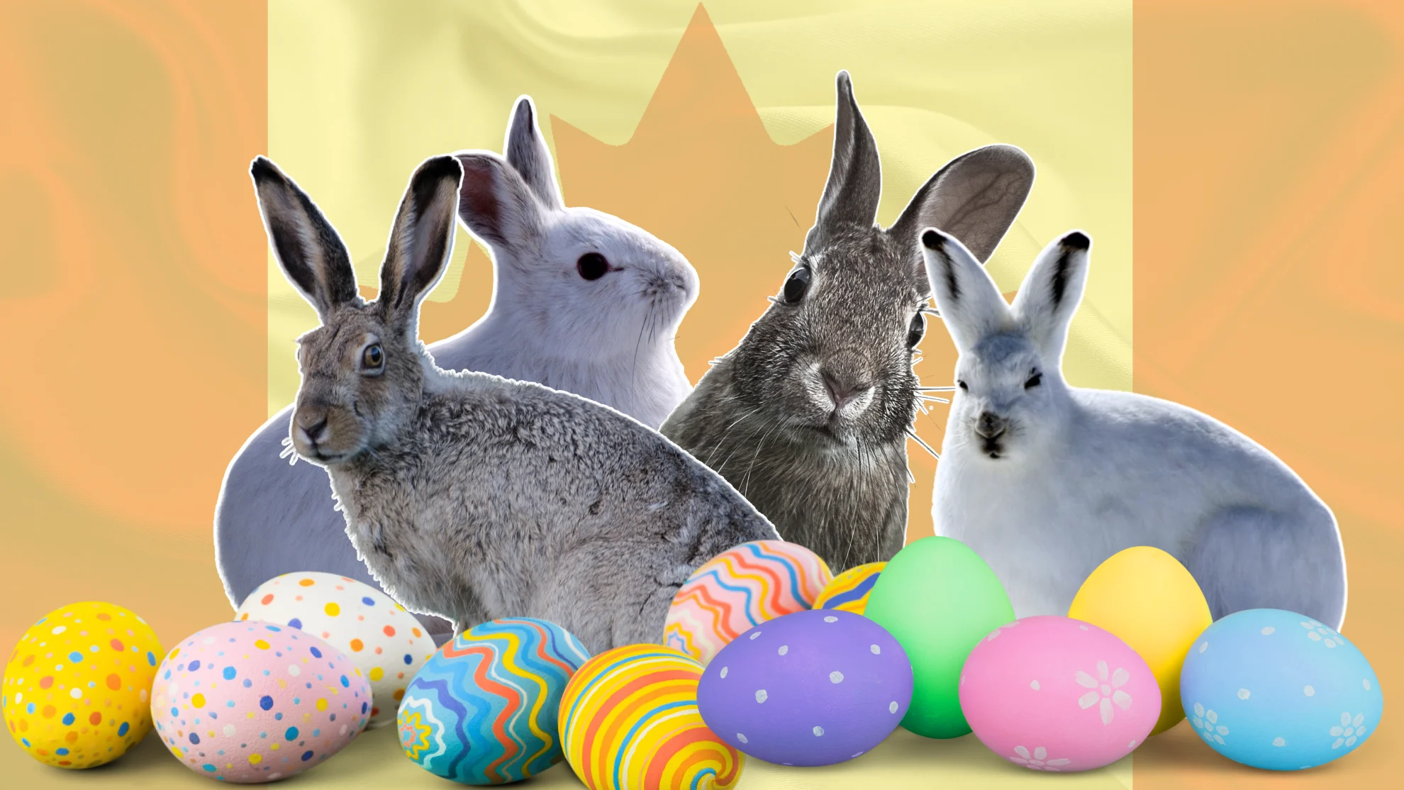What does the Canadian Easter bunny look like? We investigate - The ...
