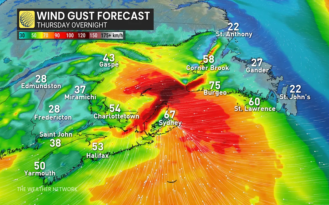 Brace for difficult travel as next storm brings heavy snow, winds to ...