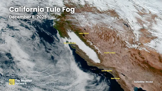 Tule Fog can blanket California in a thick cloud for days - The Weather ...