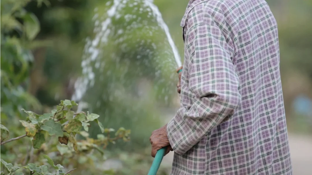 Lawn-watering ban starts May 1 in Metro Vancouver - The Weather Network
