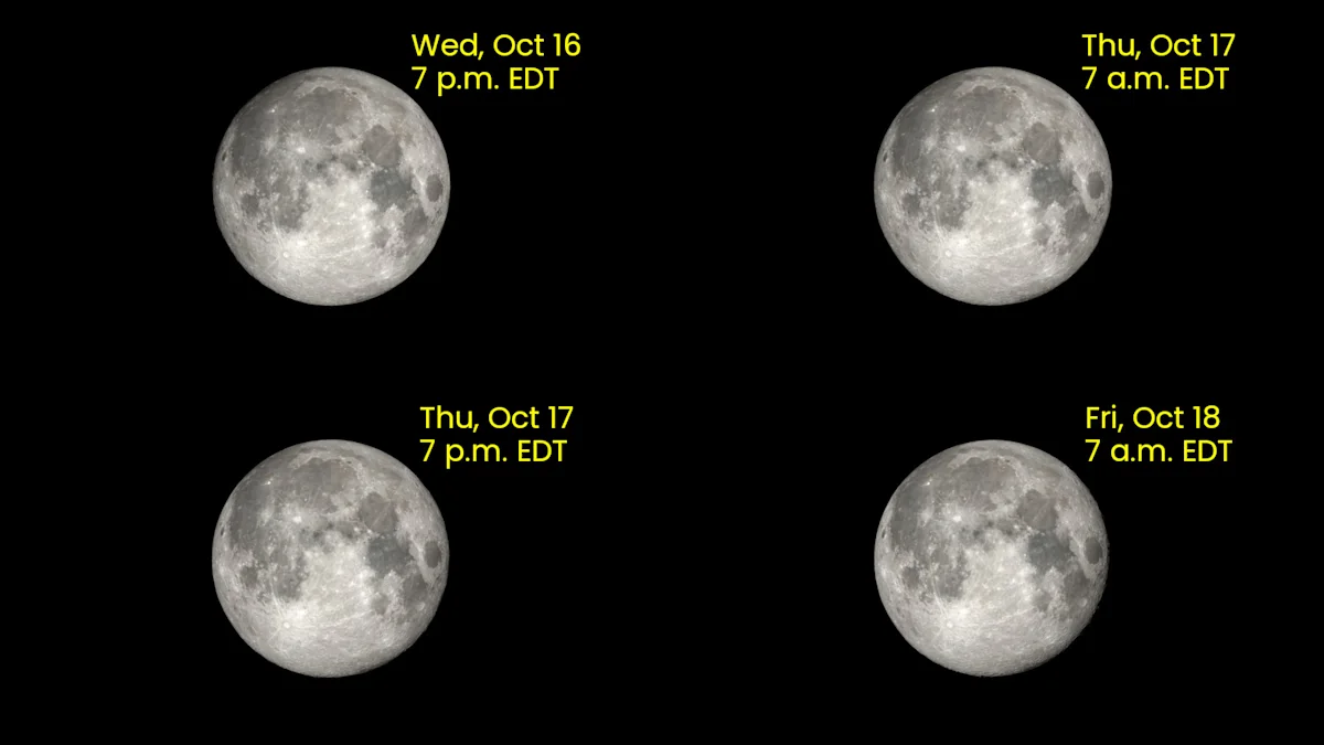 Biggest, brightest Hunter's Moon since 2007 shines in the sky this week ...