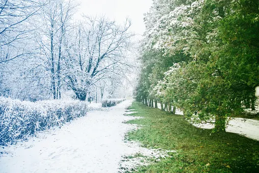 We have TWO first days of spring, but which one is real? - The Weather ...
