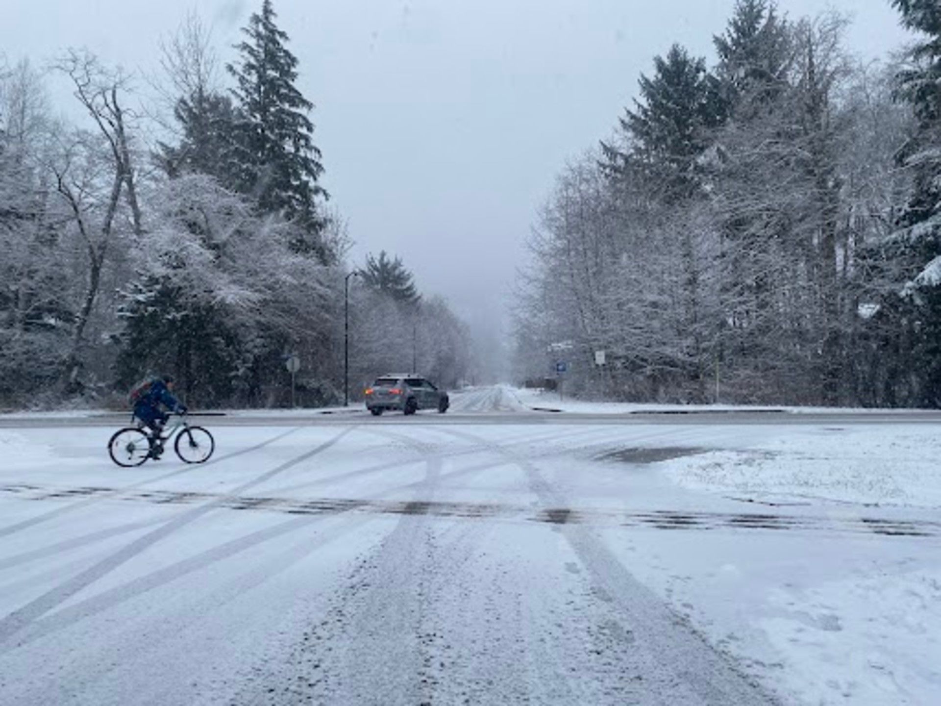 Intense storm brings heavy wind & snow to parts of B.C. - The Weather ...