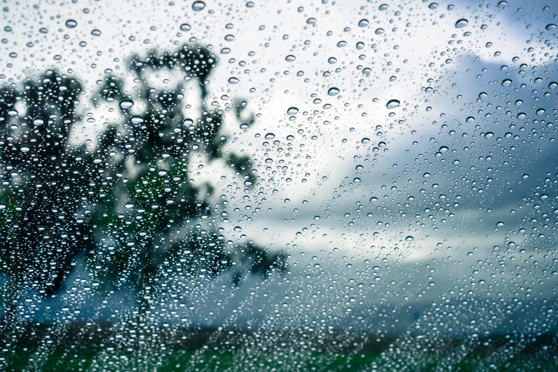 Tomorrow's Weather Québec City: Morning Clear, Rain Later - The Weather ...