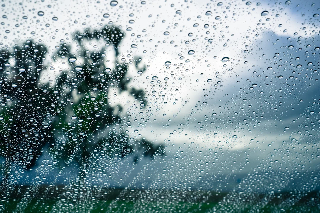 Tomorrow's Weather Vancouver: Rain Showers, Cool Temps Near 9°C - The ...