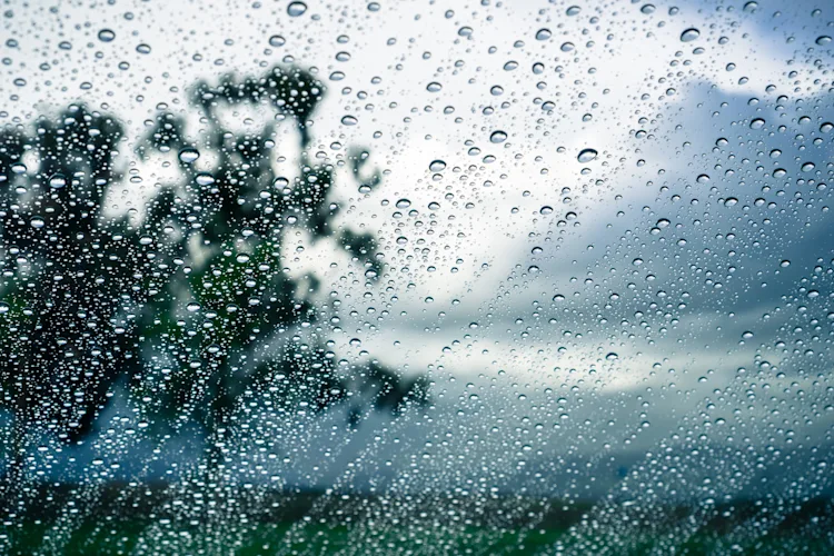Windsor's weather forecast for December 10: Cloudy with sunny breaks ...
