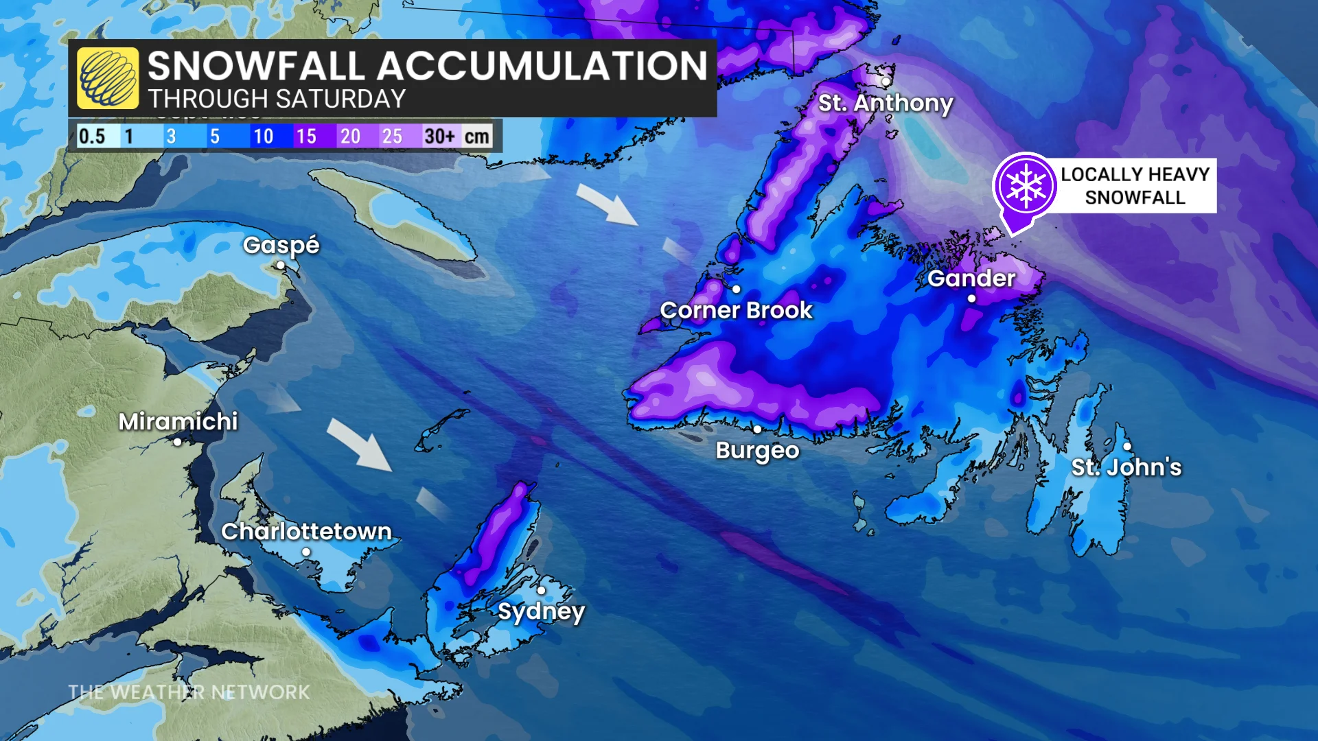 100+ km/h winds prompt warnings over Newfoundland - The Weather Network