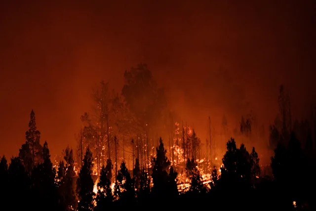 Record heat and raging fires ring in 2026 across the Southern ...
