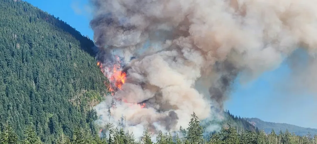 Destructive spring ice storm, second-worst wildfire season ever among ...