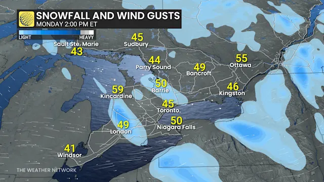 Dangerous driving amid potent southern Ontario snow squalls - The ...