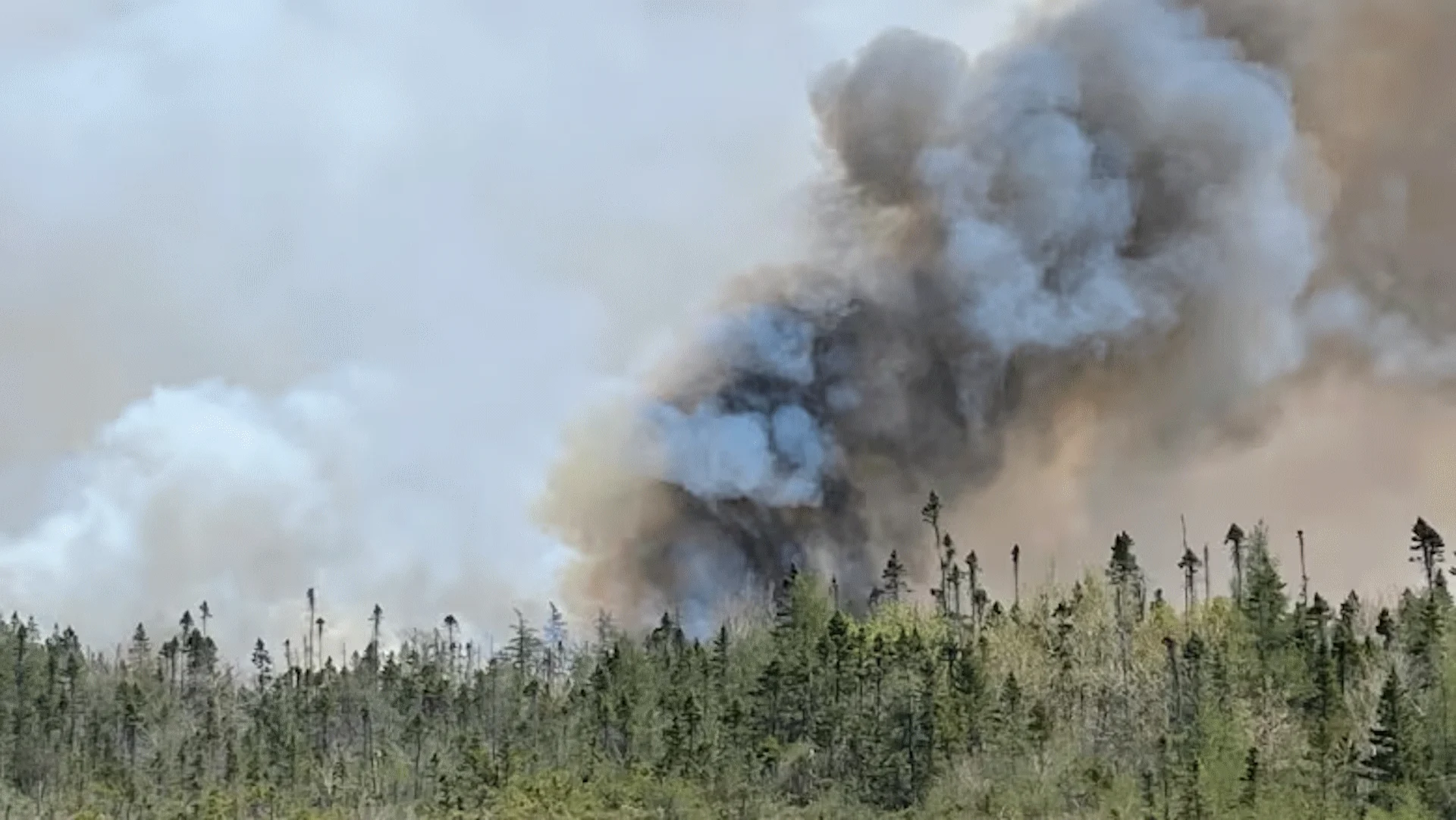Nova Scotia saw its least active wildfire season on record in 2024 ...