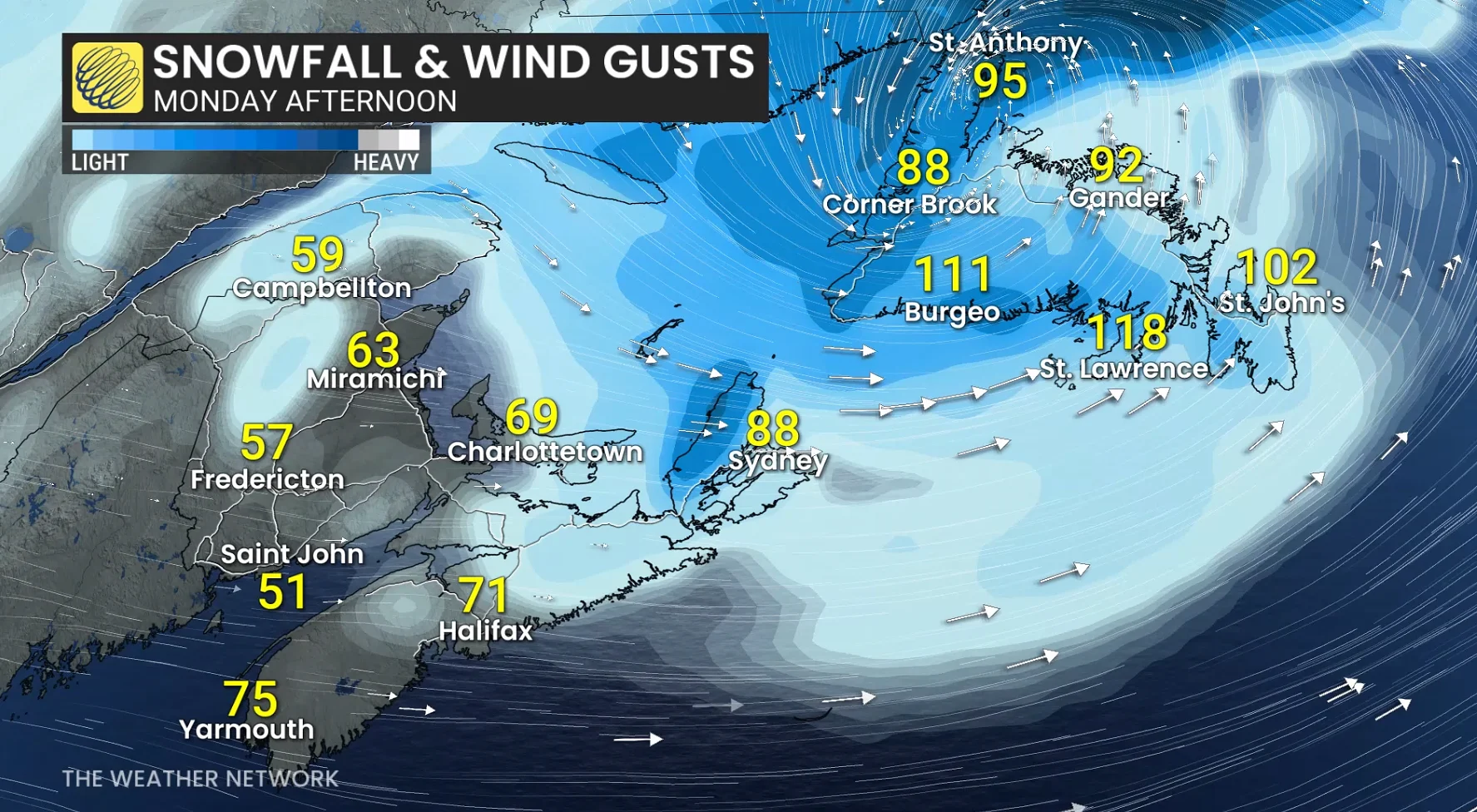 Powerful winds hit Newfoundland Monday - The Weather Network