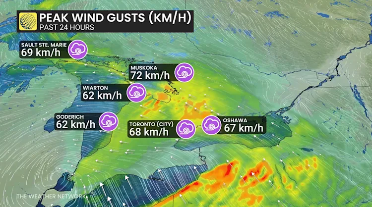 Thousands of outages reported as gusty winds buffet Ontario - The ...