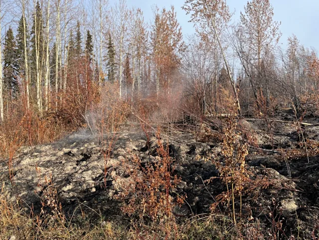 Favourable weather helps wildfire fight in Fort Nelson, B.C. - The ...