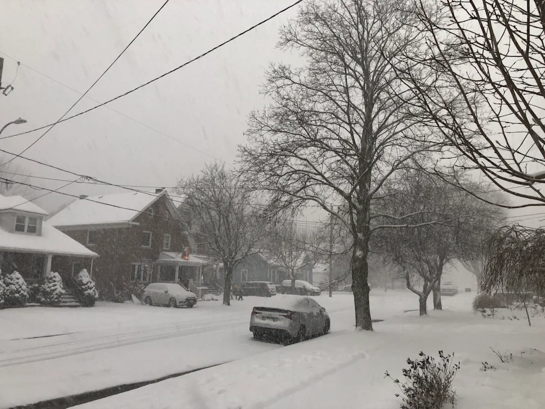 Potent squalls could wallop parts of Ontario with 20-40 cm of snow ...