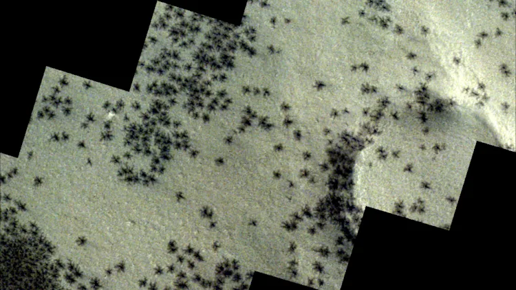 Bizarre alien 'spiders' spotted in 'Inca City' formation on Mars - The ...