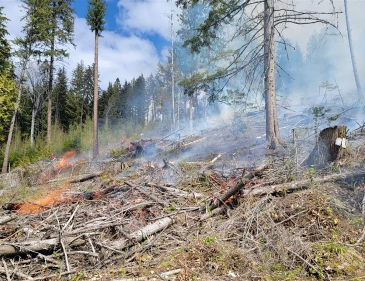 4 of 7 wildfires in northwestern Ontario still out of control: fire ...