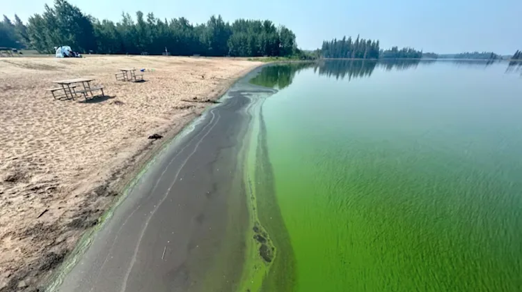 20 blue-green algae advisories issued for Alberta lakes this summer ...