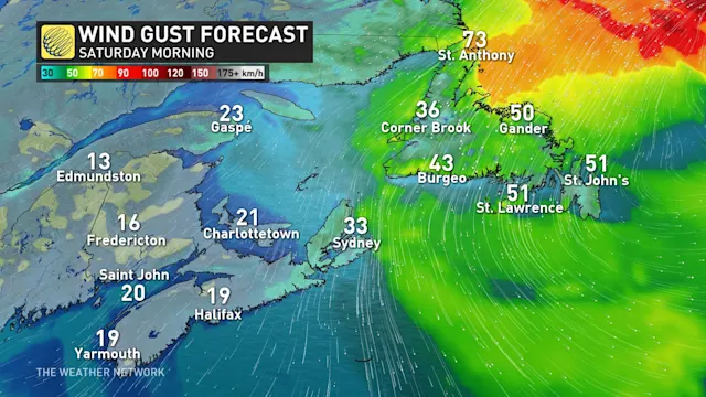 Moseying storm buffets Newfoundland with heavy snow, high winds - The ...