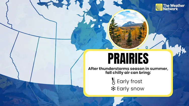 What does a classic fall storm look like in your part of Canada? - The ...