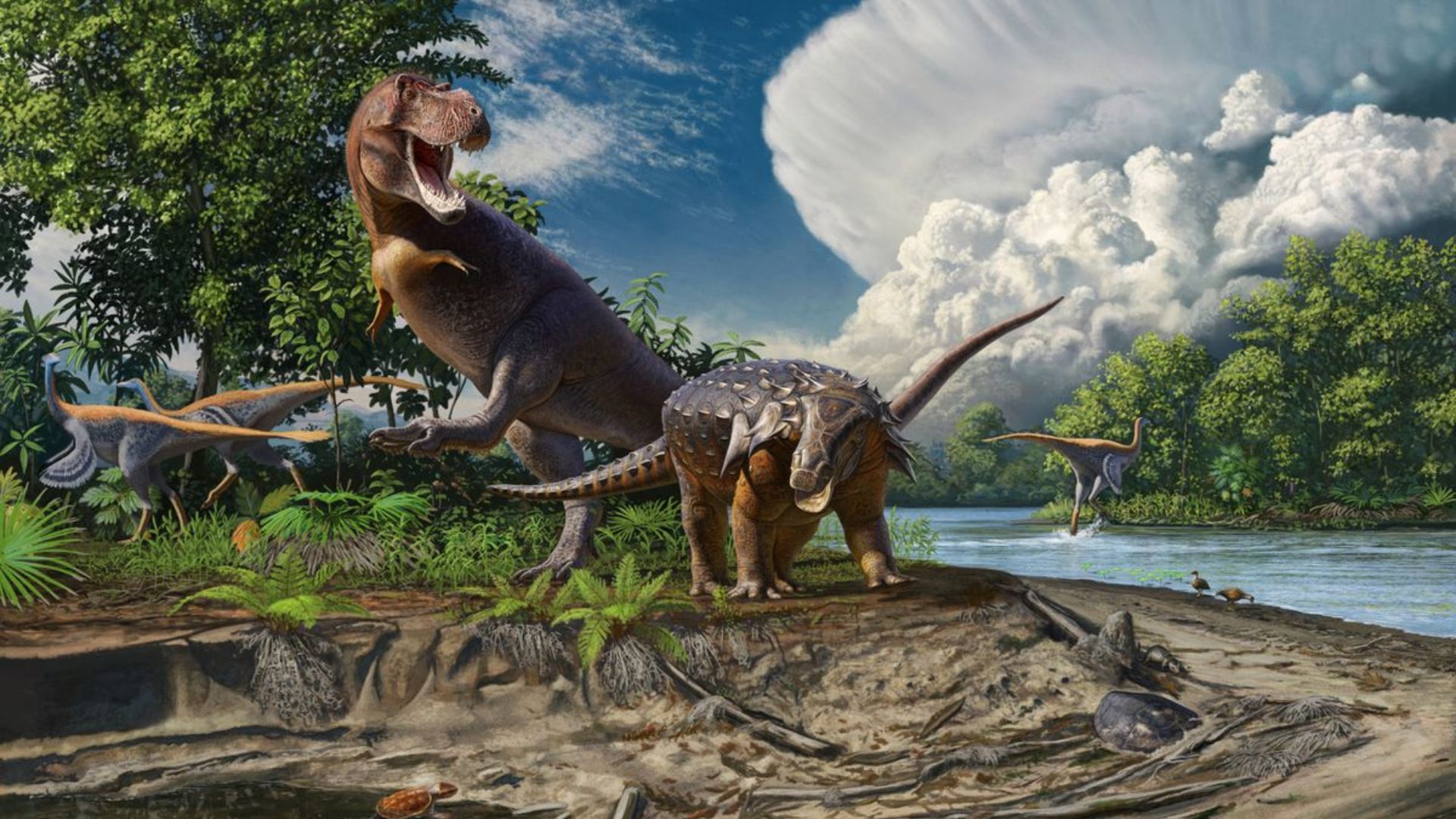 Kids discover rare T. Rex fossil on a family hike - The Weather Network