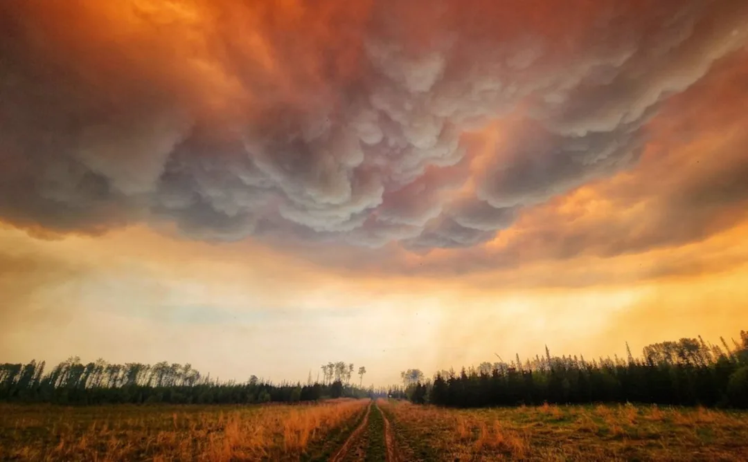 From flames to forecasts: How wildfire smoke affects your weather - The ...
