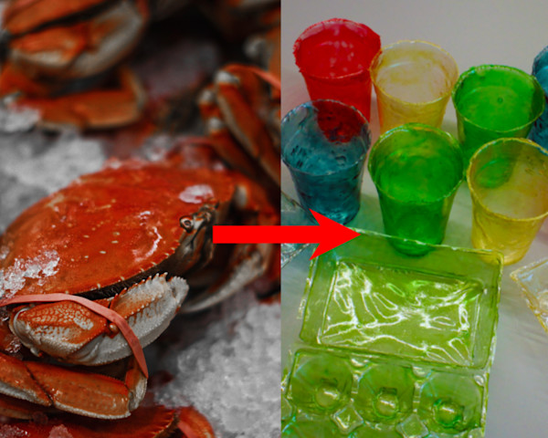 Crustacean shells could be the next popular biodegradable material ...