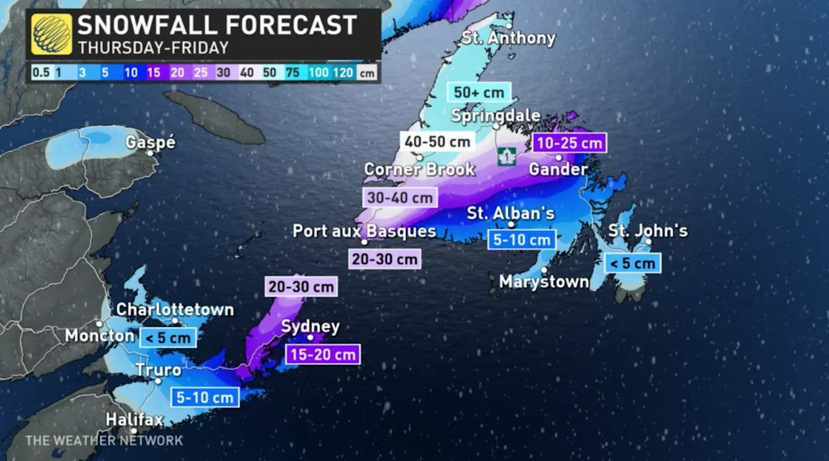 PHOTOS: Looking for snow, Canada? We found it in Nfld., where 50+ cm is ...