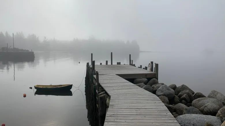 Scientists head to one of the foggiest places on Earth to study ...
