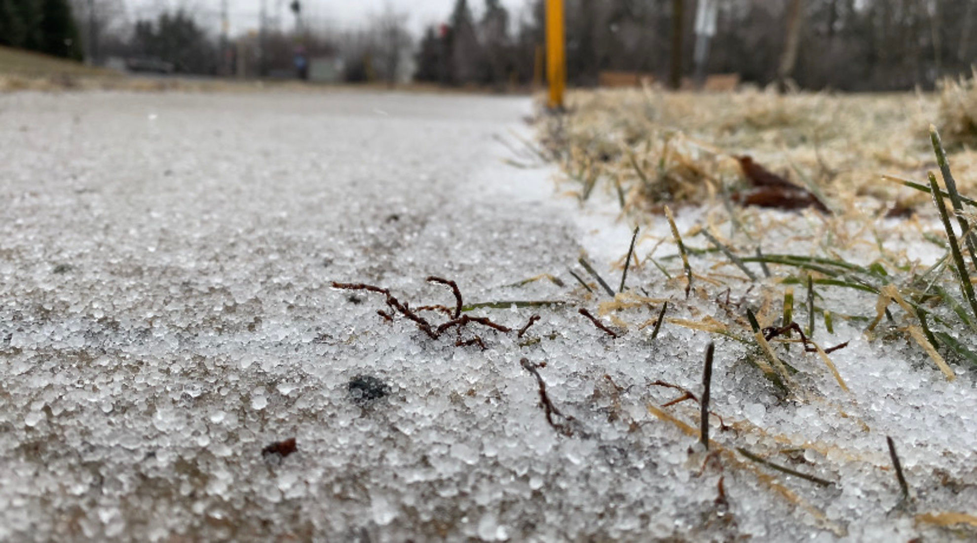 Warnings span East Coast for heavy rain, ice and snow, major impacts ...