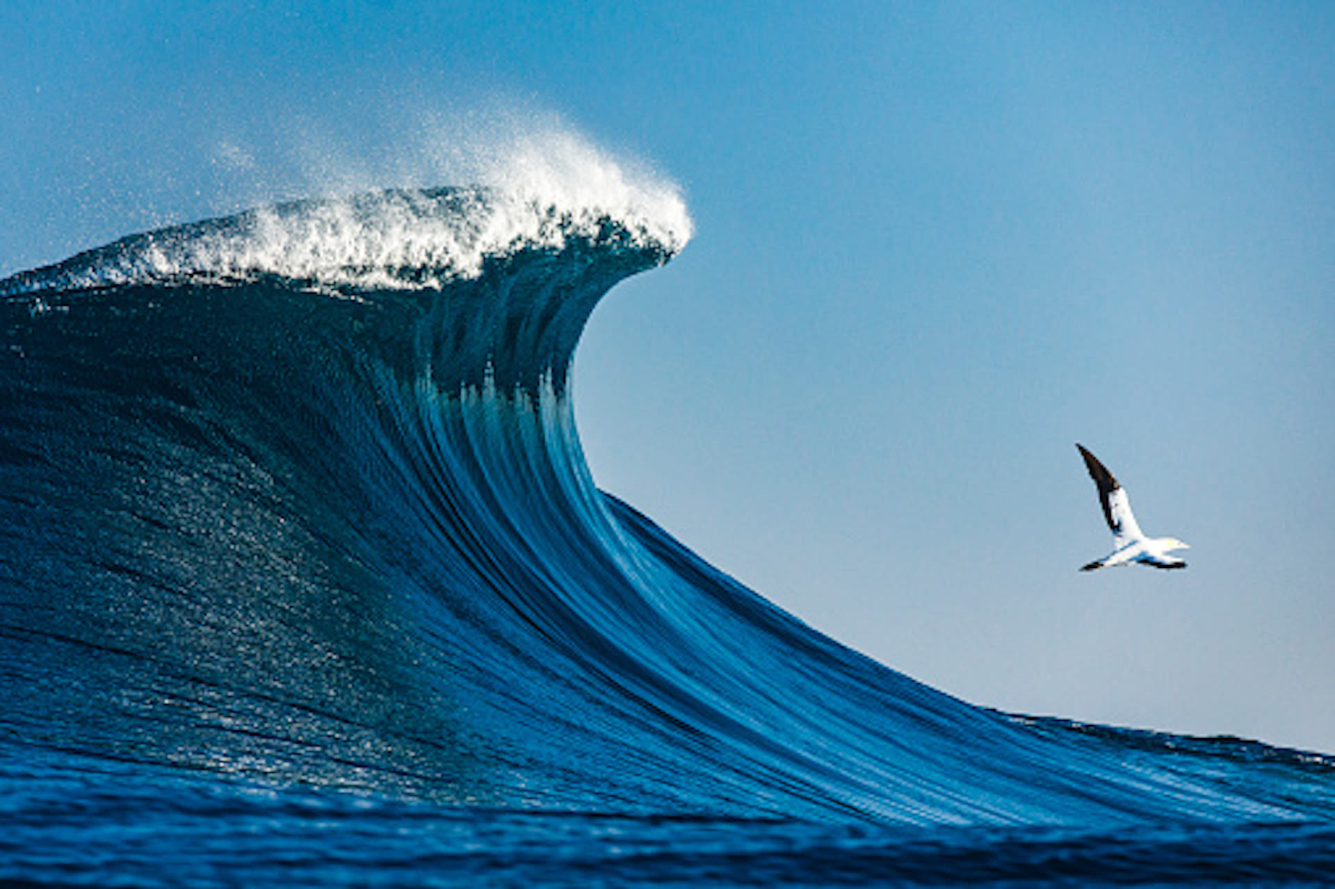 Powerful, dangerous Hurricane Erin could generate 100-foot waves - The ...